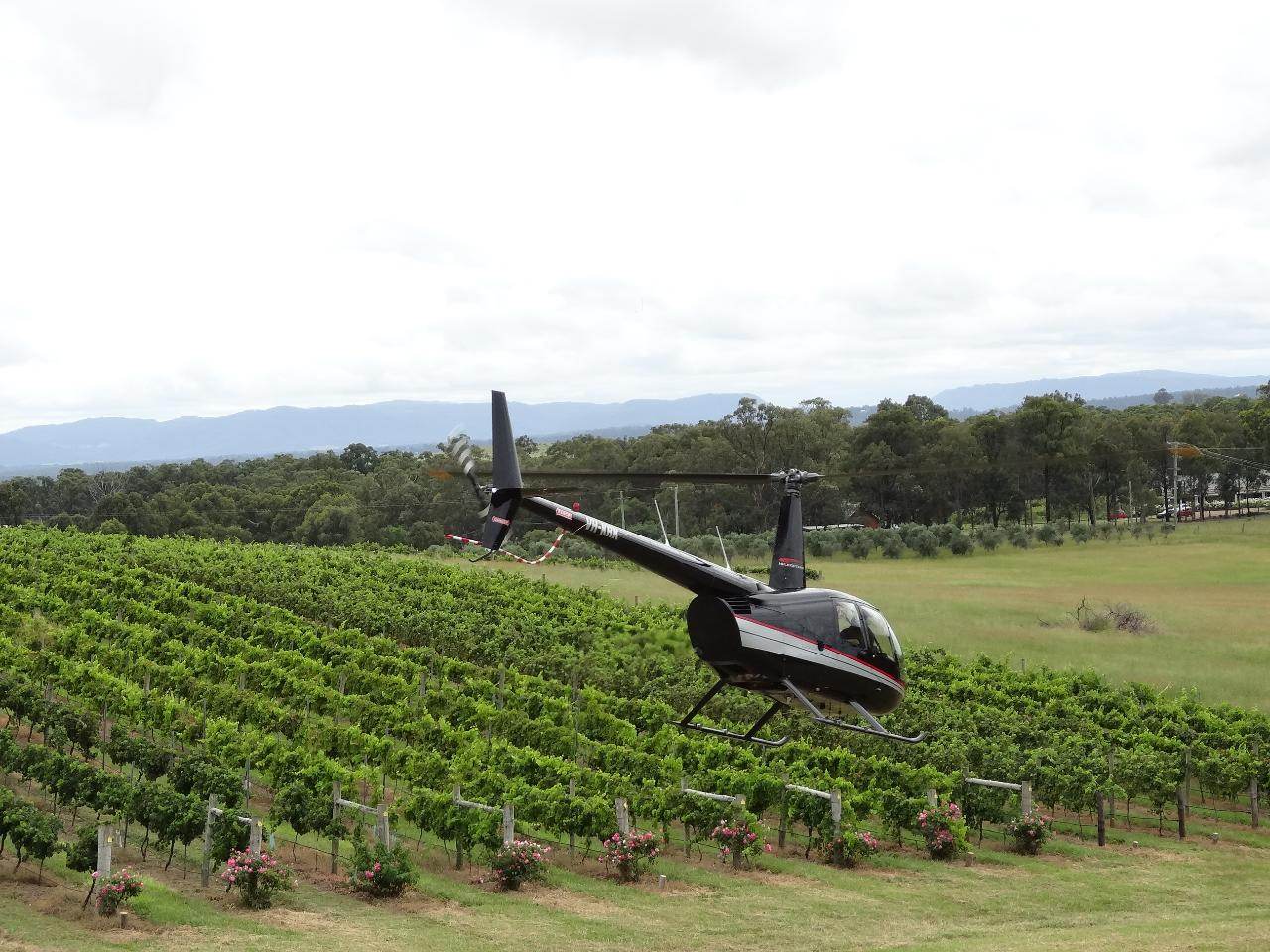 Virginia Wine Country Helicopter Tours by Capital Exotics